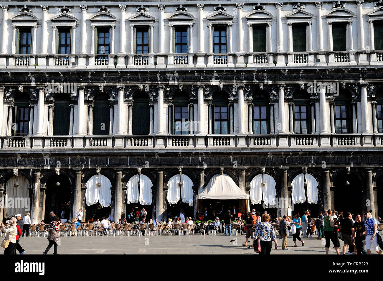 Piazza San Marco Venice Italy Stock Photo - Alamy