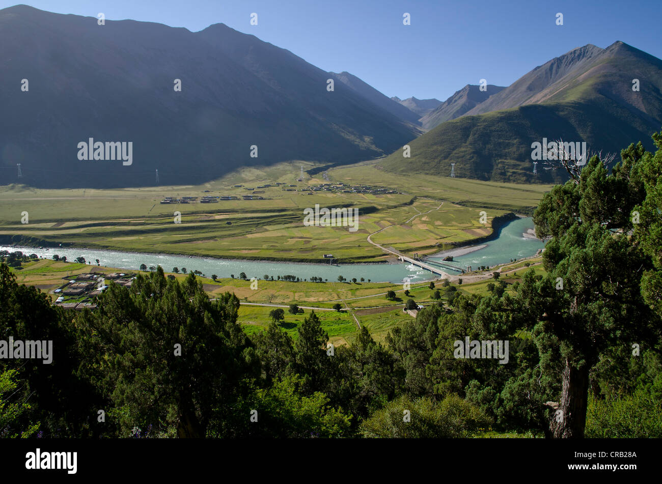 Reting river, Reting Tsangpo with centuries-old juniper trees in the ...