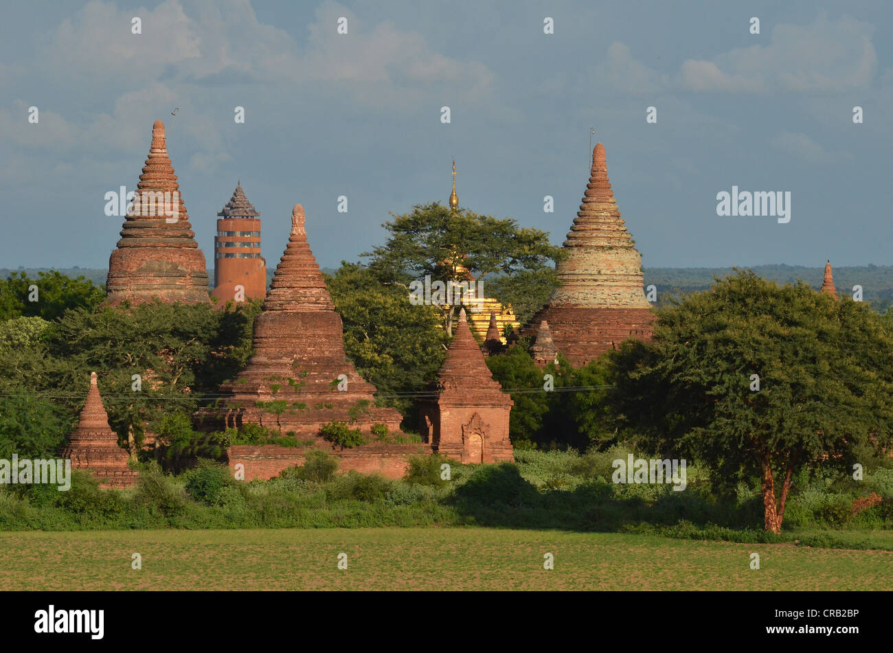Pagoda field, Buddhist pagodas, Old Bagan, Pagan, Burma, Myanmar ...