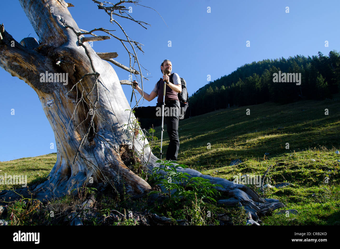 One Way Poles High Resolution Stock Photography and Images - Alamy