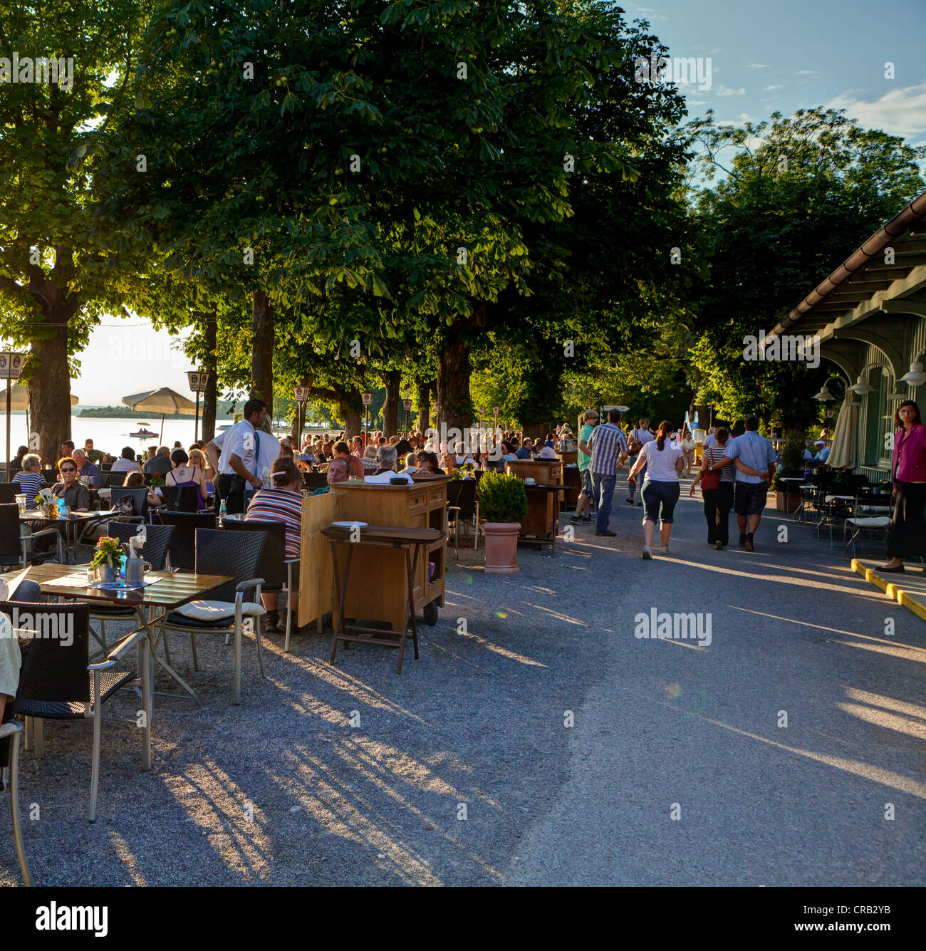 Beer garden in the evening light, Herrsching am Ammersee, Lake Ammer ...