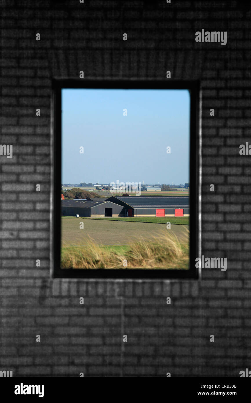 View through a window, landscape, farm, Julianadorp, Den Helder, North ...