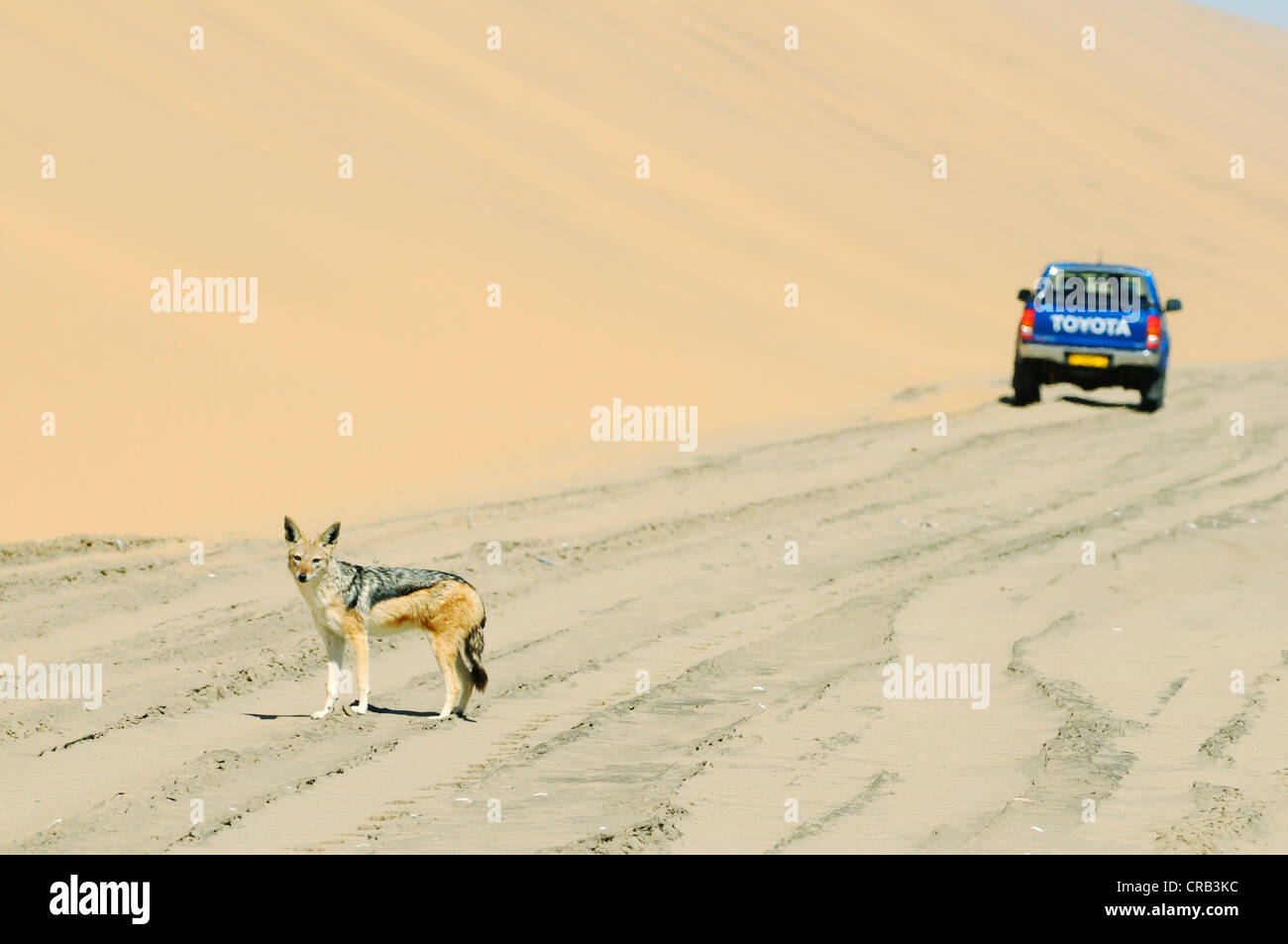 Jackal vehicle hi-res stock photography and images - Alamy