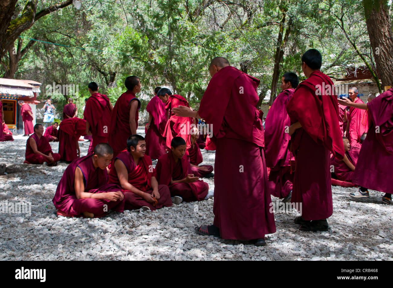 Novice monks in temple hi-res stock photography and images - Alamy