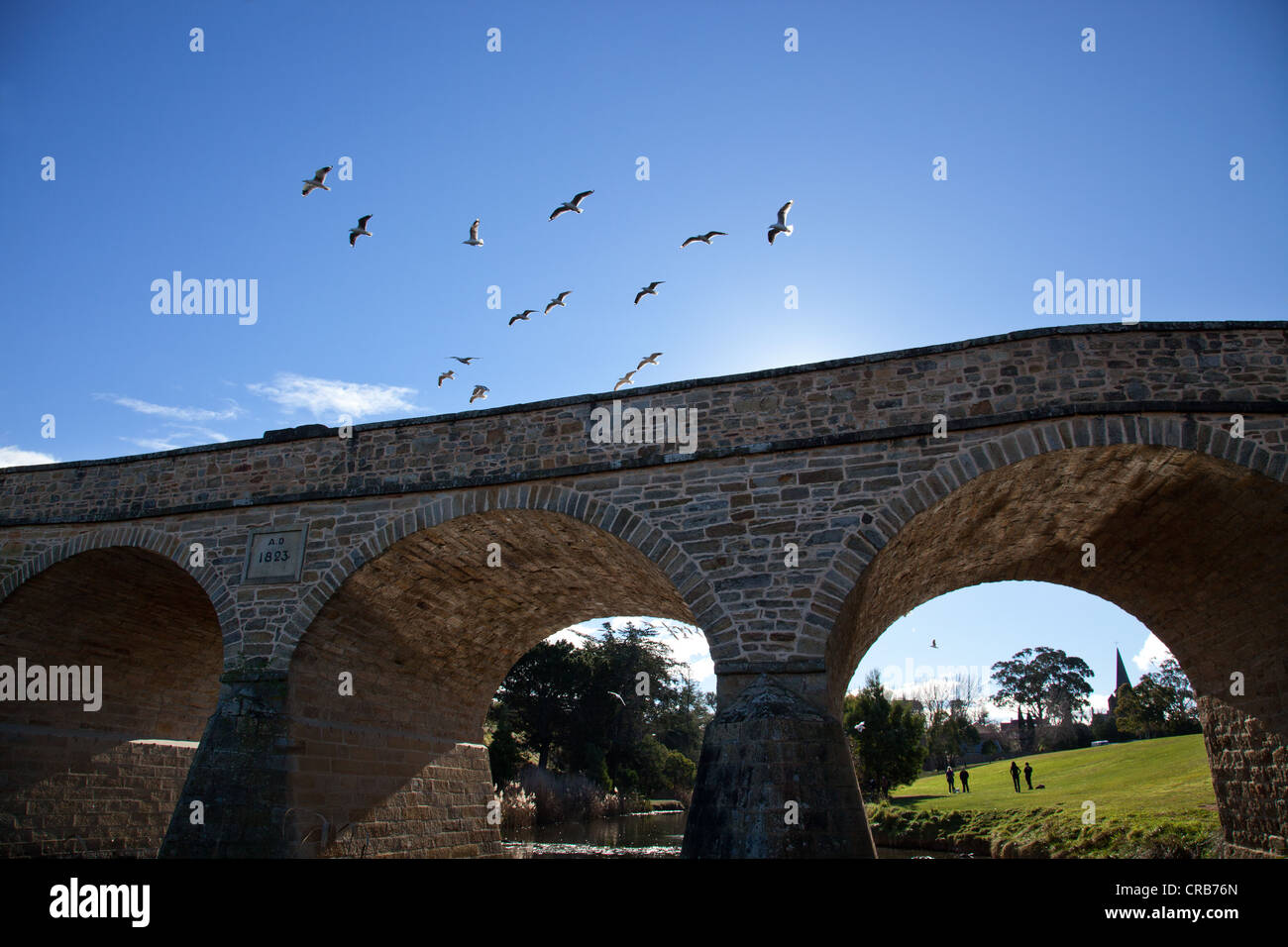 Animal bridge australia hi-res stock photography and images - Alamy