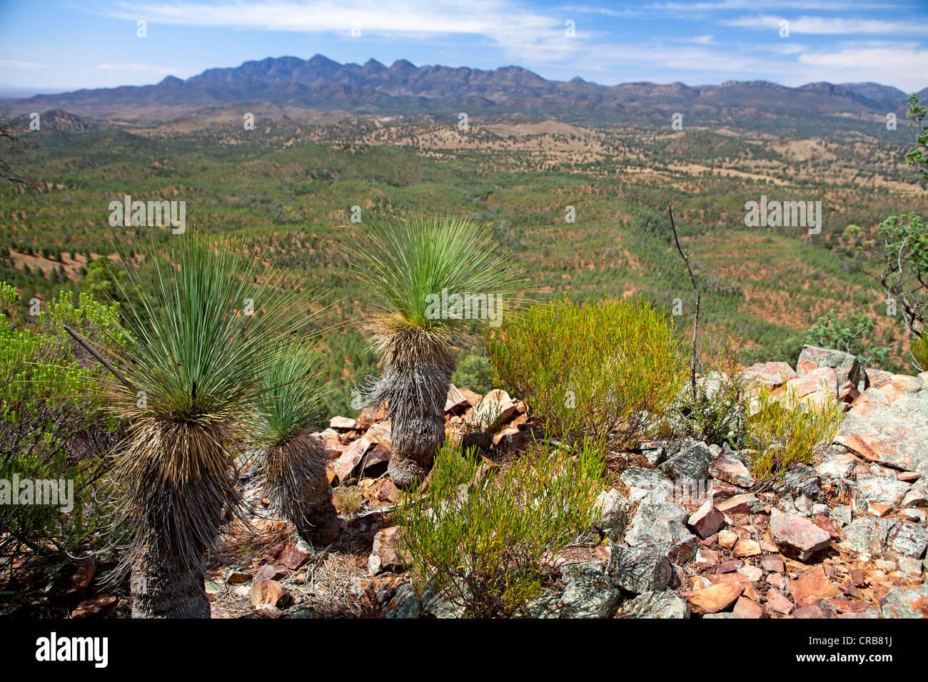 View across Arkaba Station to Wilpena Pound in South Australia's ...