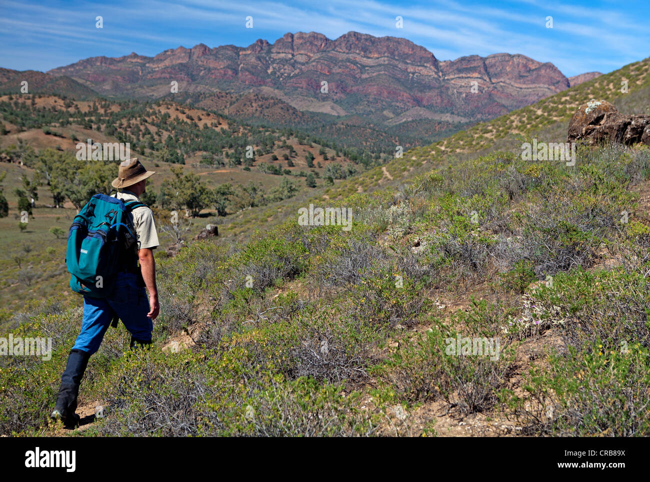 Hiker on Arkaba Station in South Australia's Flinders Ranges, with the ...