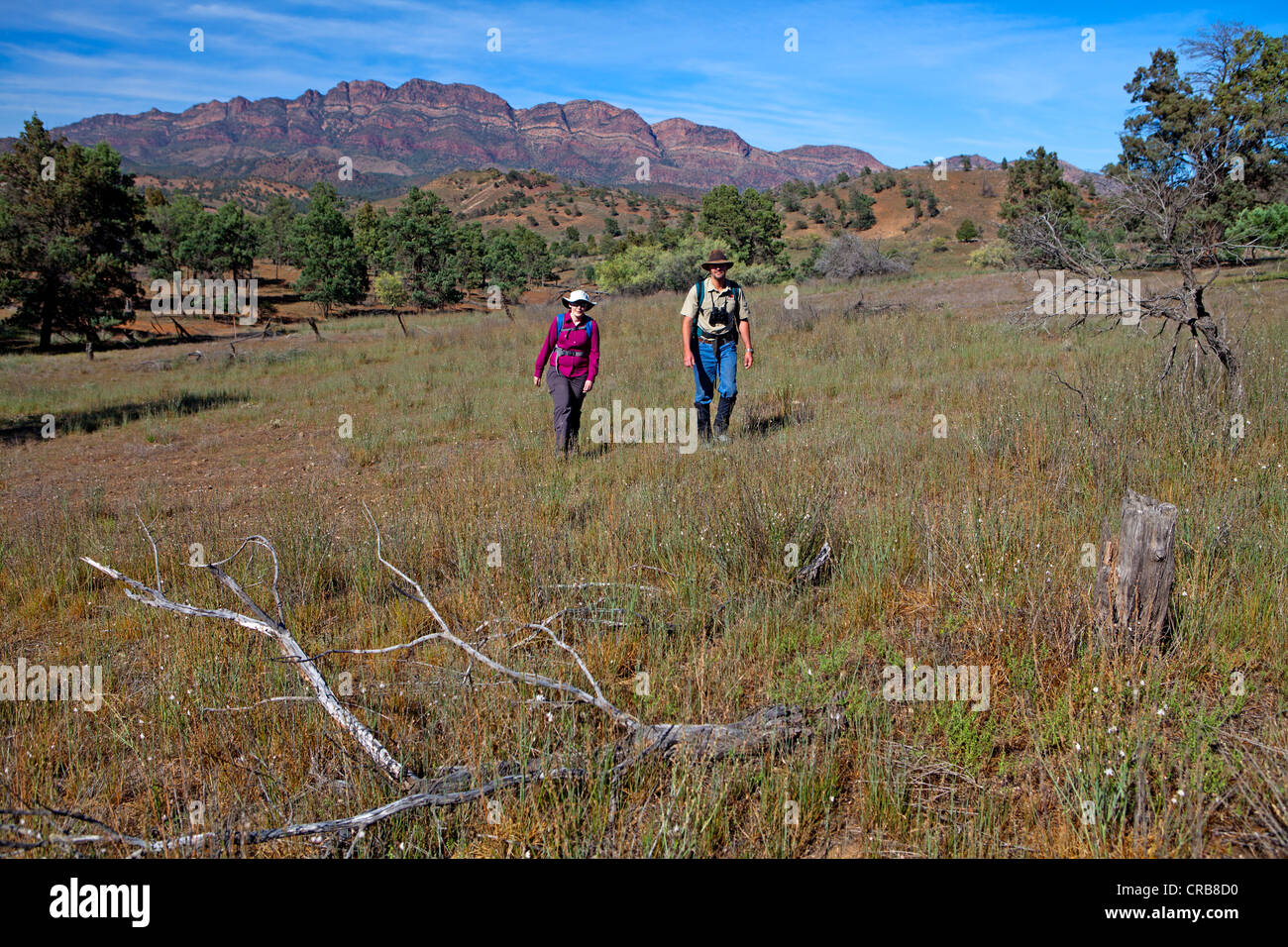 Hikers on Arkaba Station in South Australia's Flinders Ranges, with the ...