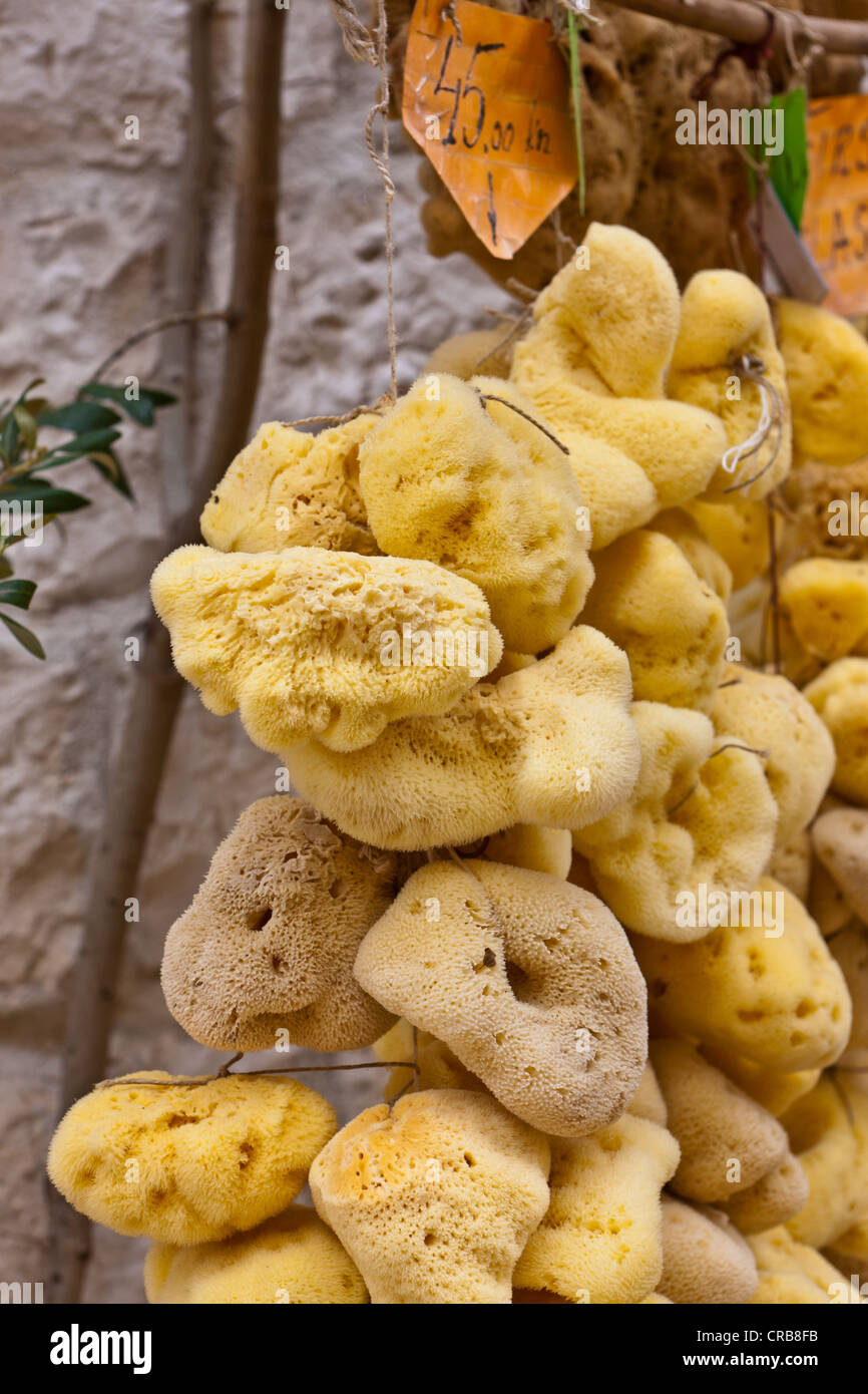 Sponges for sale, historic town centre, Trogir, Split region, Central ...