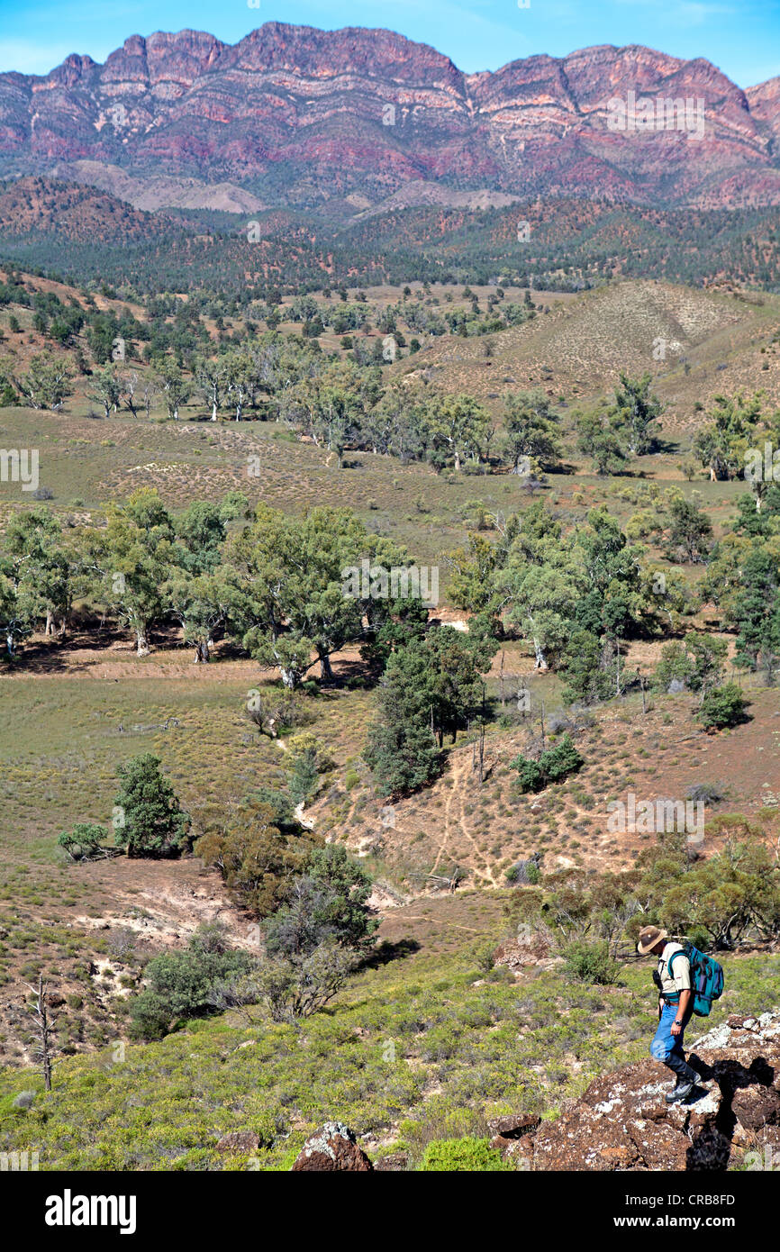 Hiker on Arkaba Station in South Australia's Flinders Ranges, with the ...