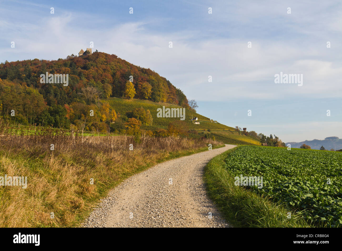Path to castle hi-res stock photography and images - Alamy