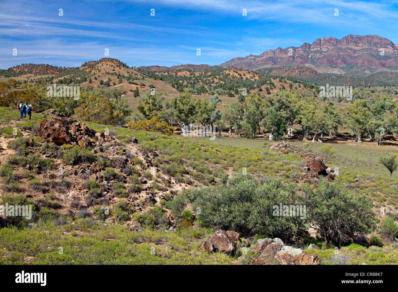 Hikers on Arkaba Station in South Australia's Flinders Ranges, with the ...