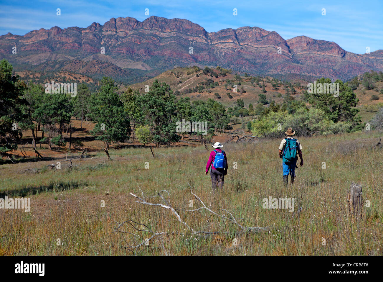 Hikers on Arkaba Station in South Australia's Flinders Ranges, with the ...