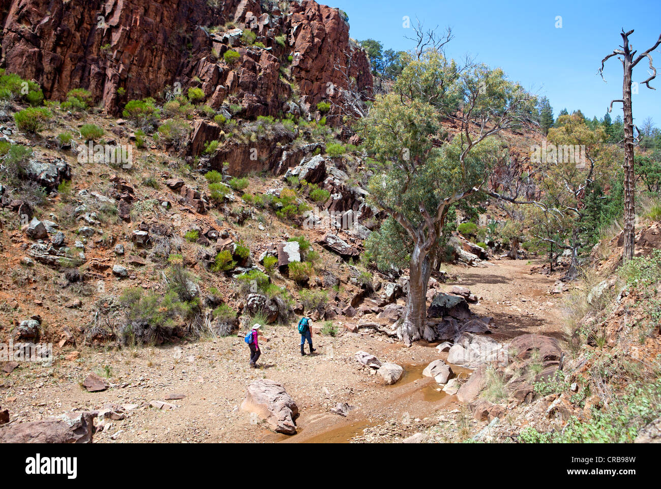 Hikers pass through a gorge on the Arkaba Walk in South Australia's ...