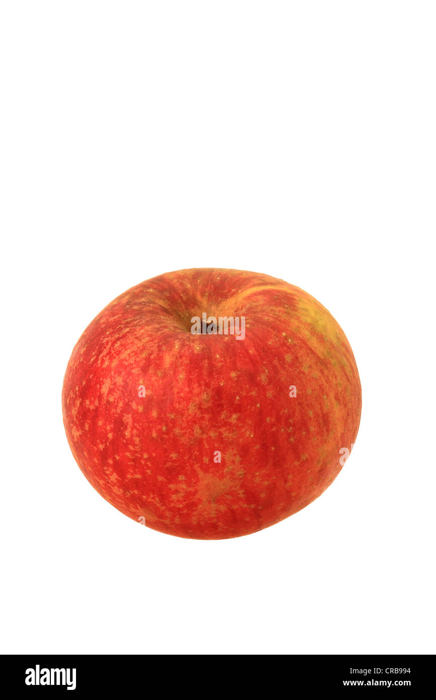 Renette Cut Out Stock Images & Pictures - Alamy