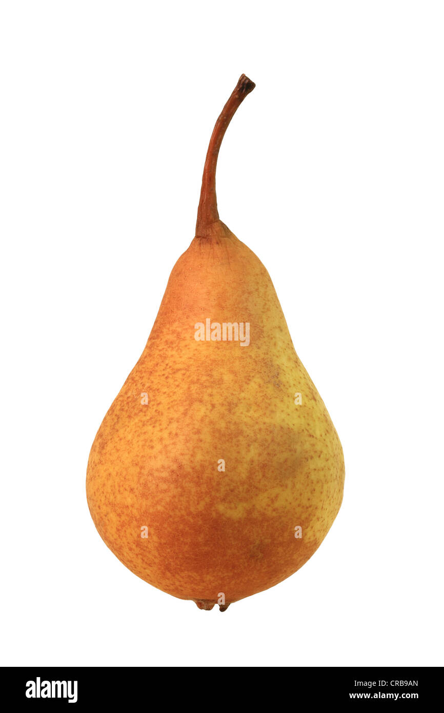 Pear pyrus hi-res stock photography and images - Alamy