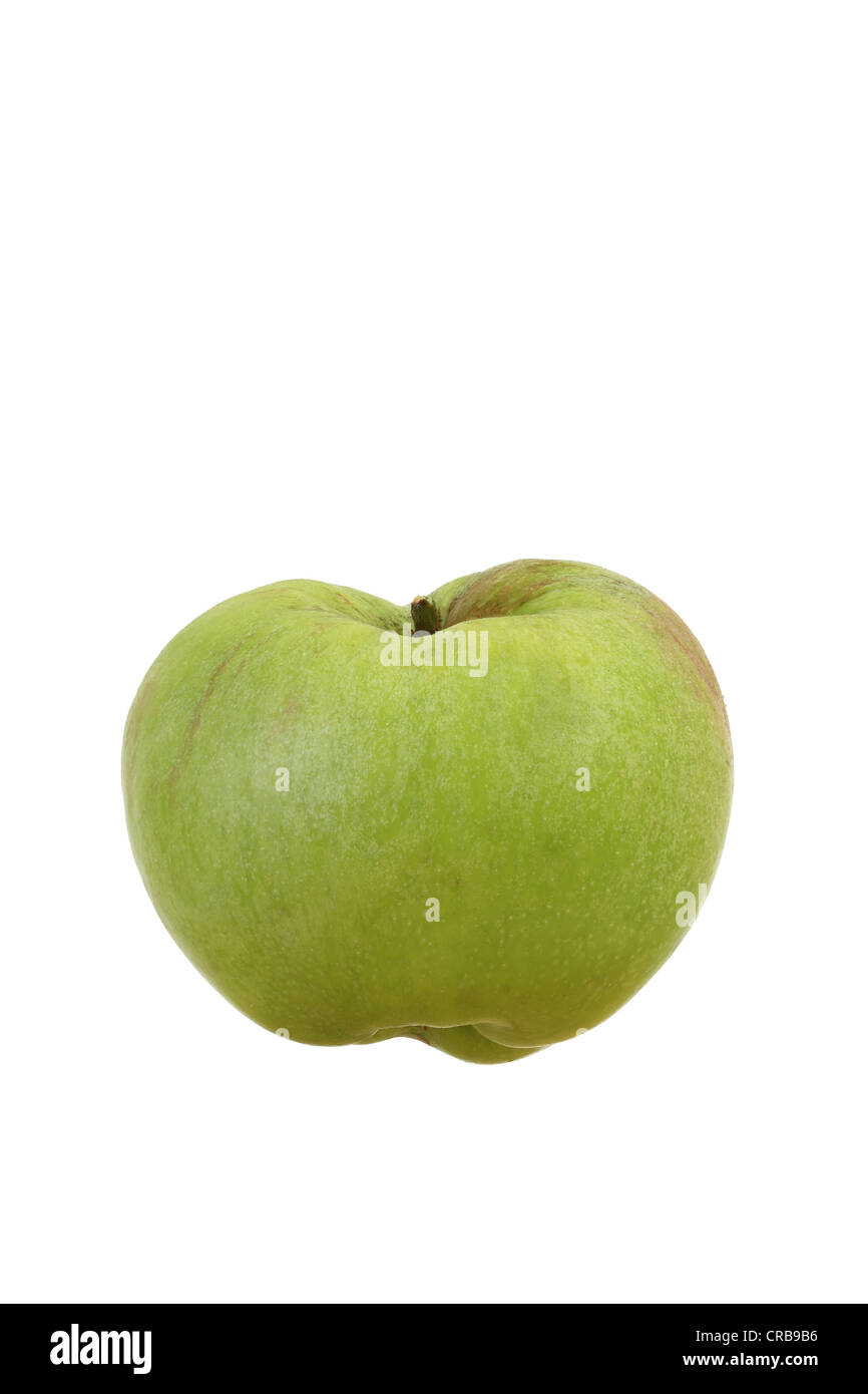 Signe tillisch hi-res stock photography and images - Alamy