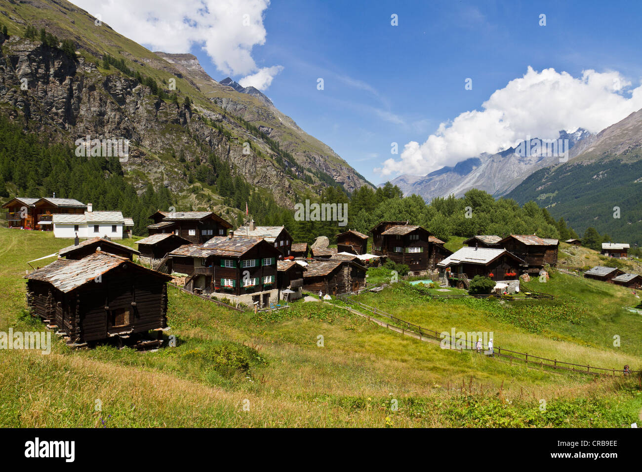 Timber fury hi-res stock photography and images - Alamy