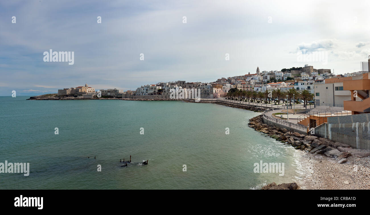 Vieste cathedral hi-res stock photography and images - Alamy