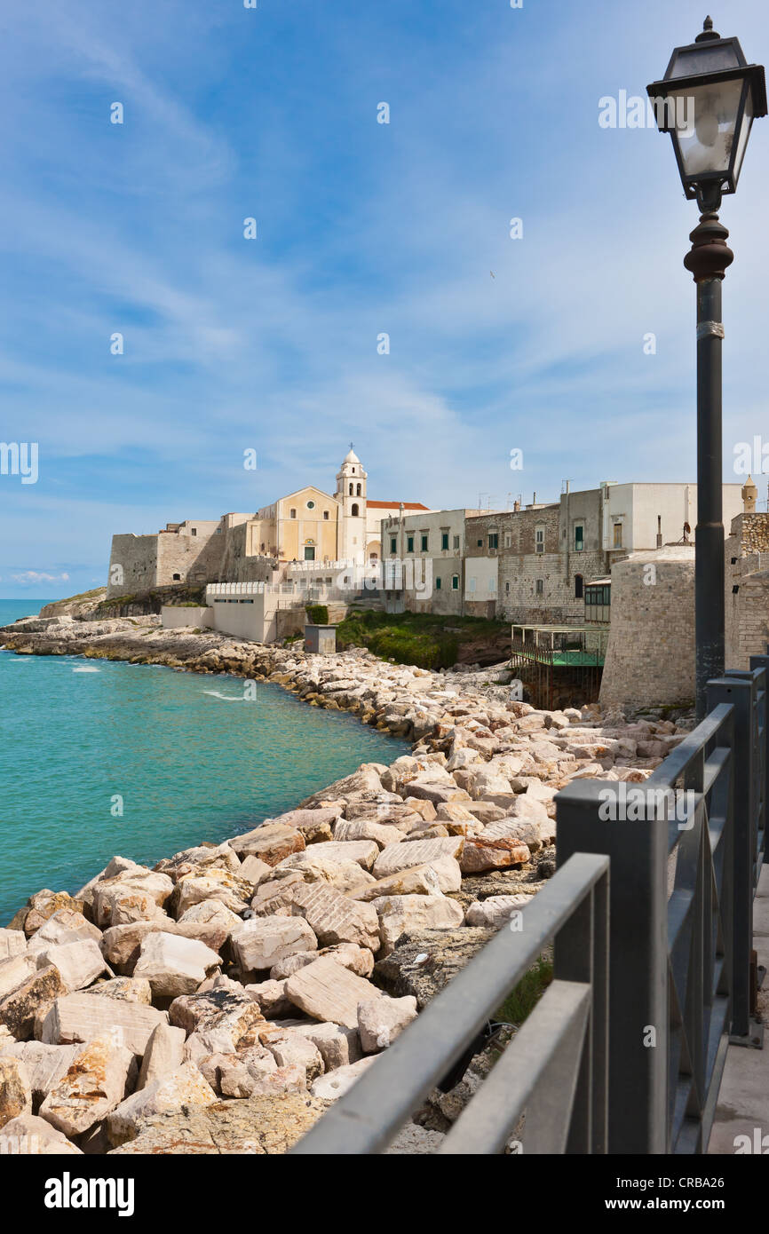Historic town centre of Vieste, with the Cathedral of Vieste at the ...