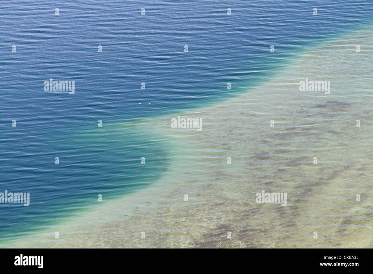 Drip line of the shore of Lake Constance in Sipplingen, Lake Constance ...