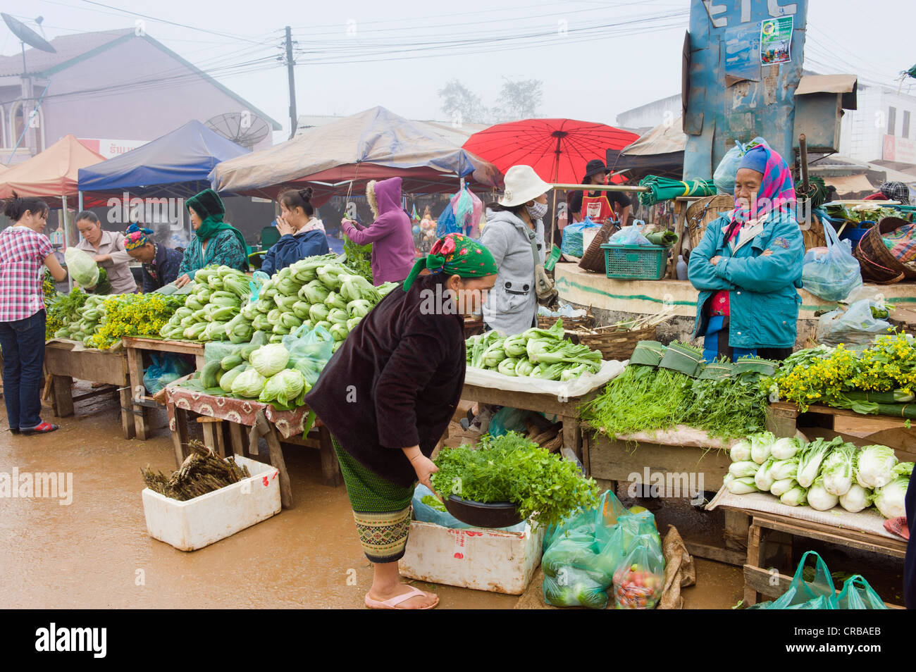 Market shrouded in morning fog, Samyek, Moung Phou Khoun, Luang Prabang ...