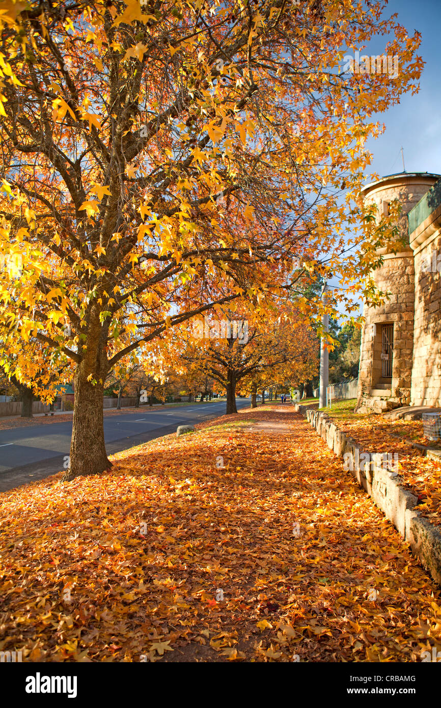 High country victoria hi-res stock photography and images - Alamy
