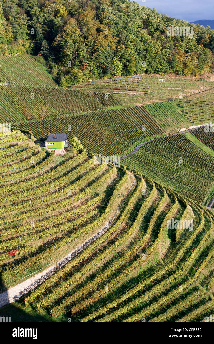 Germany Baden Wuerttemberg Vineyards Near High Resolution Stock ...