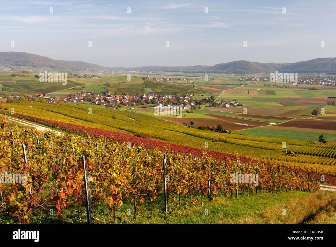 Klettgau vineyards hi-res stock photography and images - Alamy