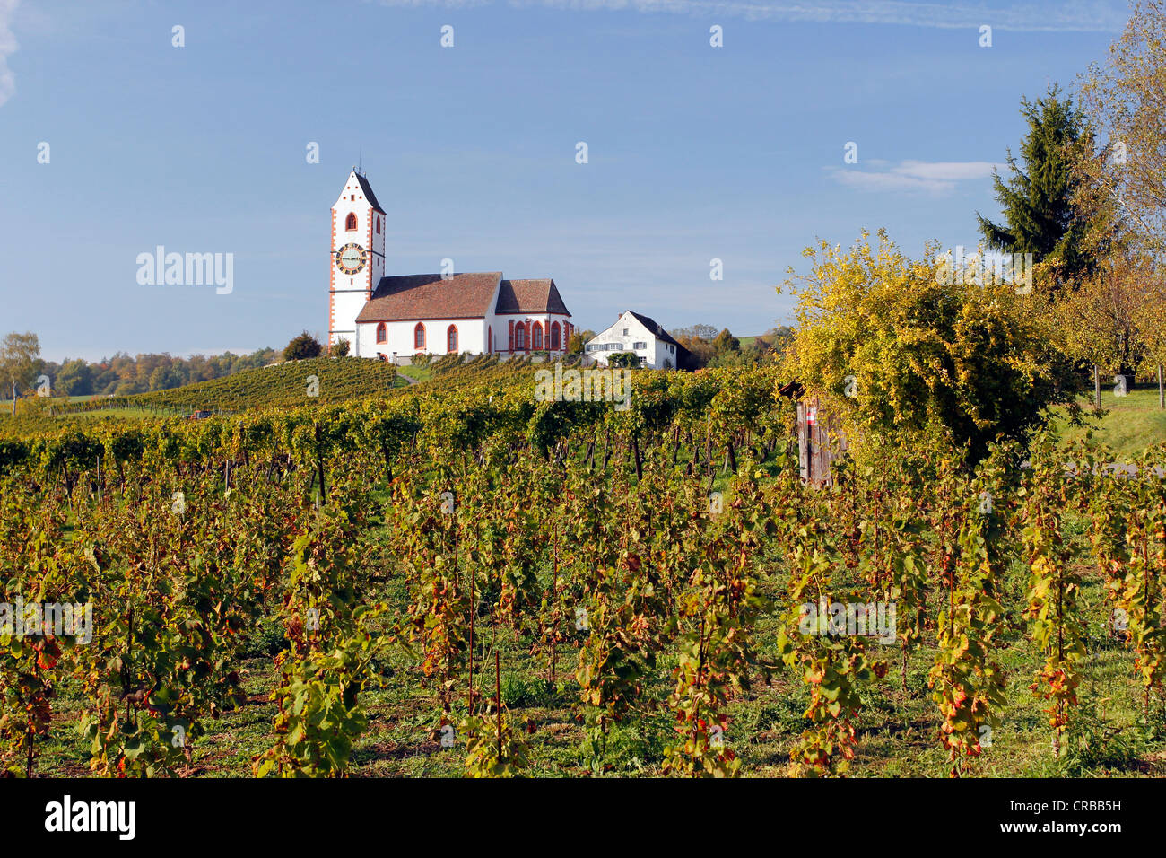 Klettgau vineyards hi-res stock photography and images - Alamy