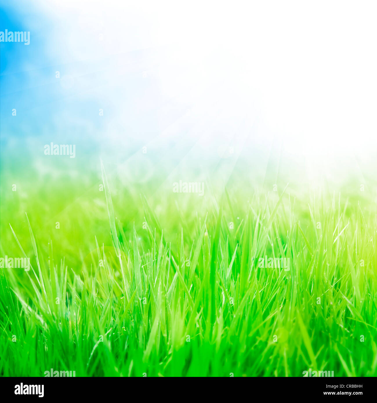 background with grass and sunshine Stock Photo - Alamy