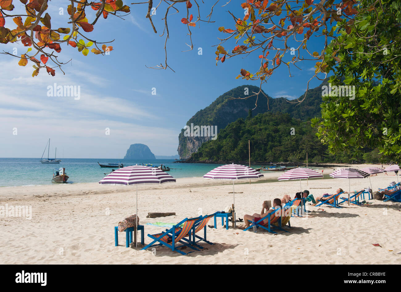 Sun loungers and parasols on the sandy beach, Farang Beach, Ko Muk or ...