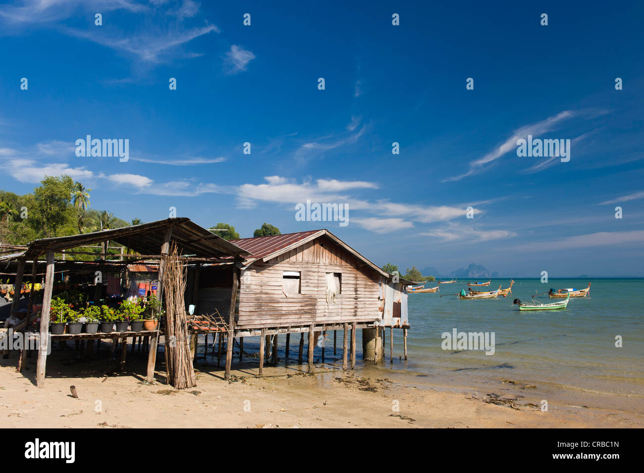 Stilt house in the fishing village, Ko Muk or Ko Mook island, Thailand ...