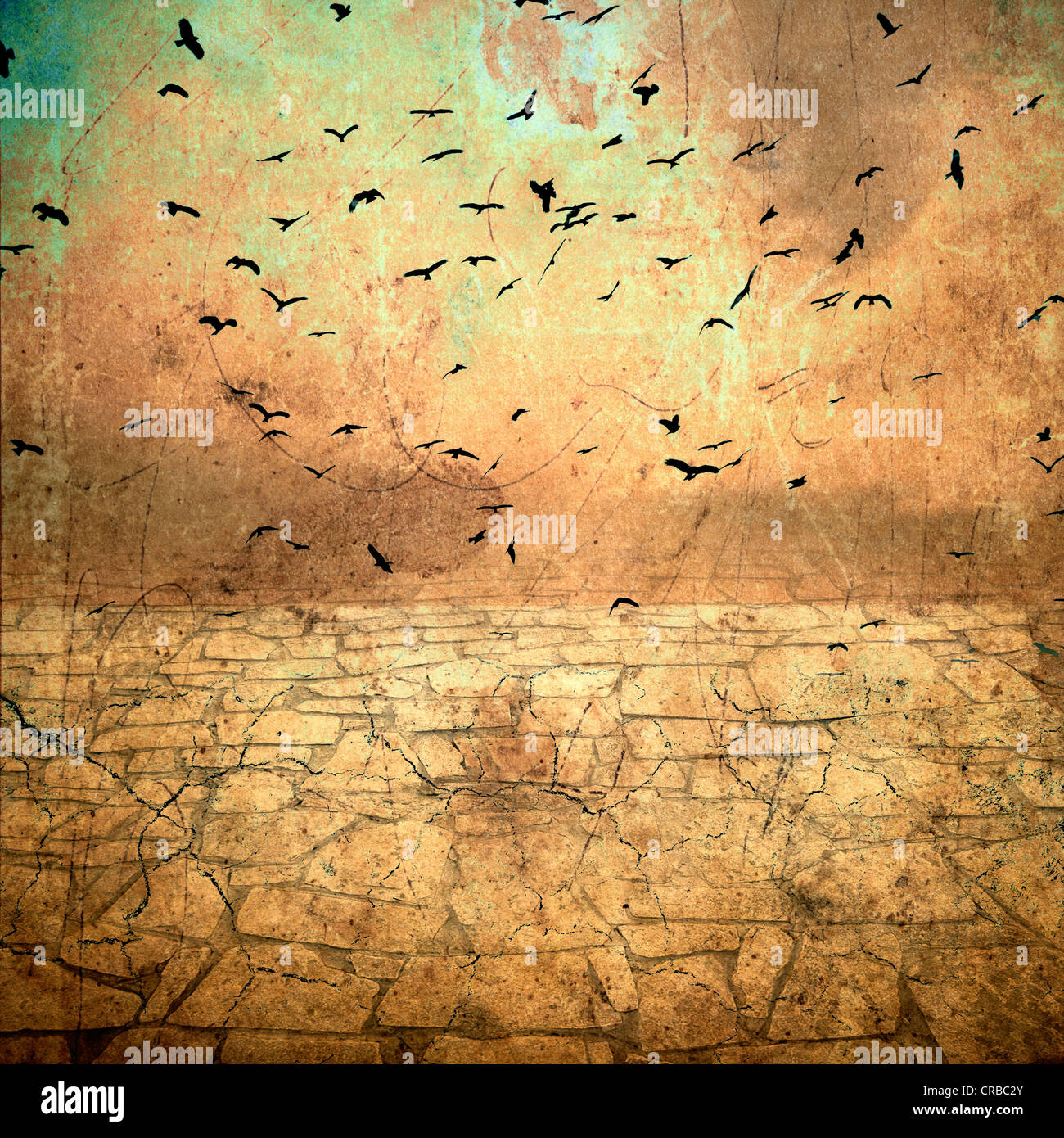 ground cracked, birds in the sky Stock Photo - Alamy