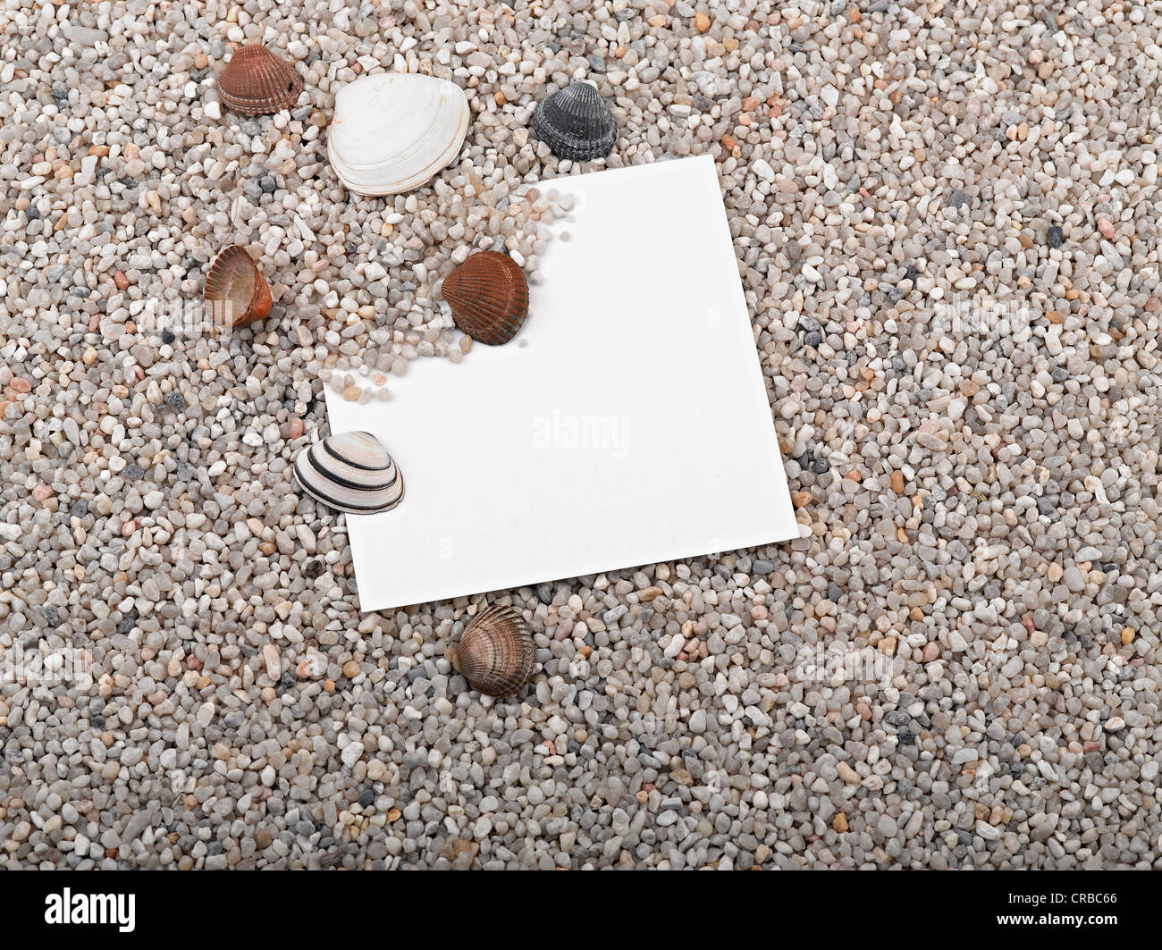 Shells, starfish and blank paper sheet Stock Photo - Alamy