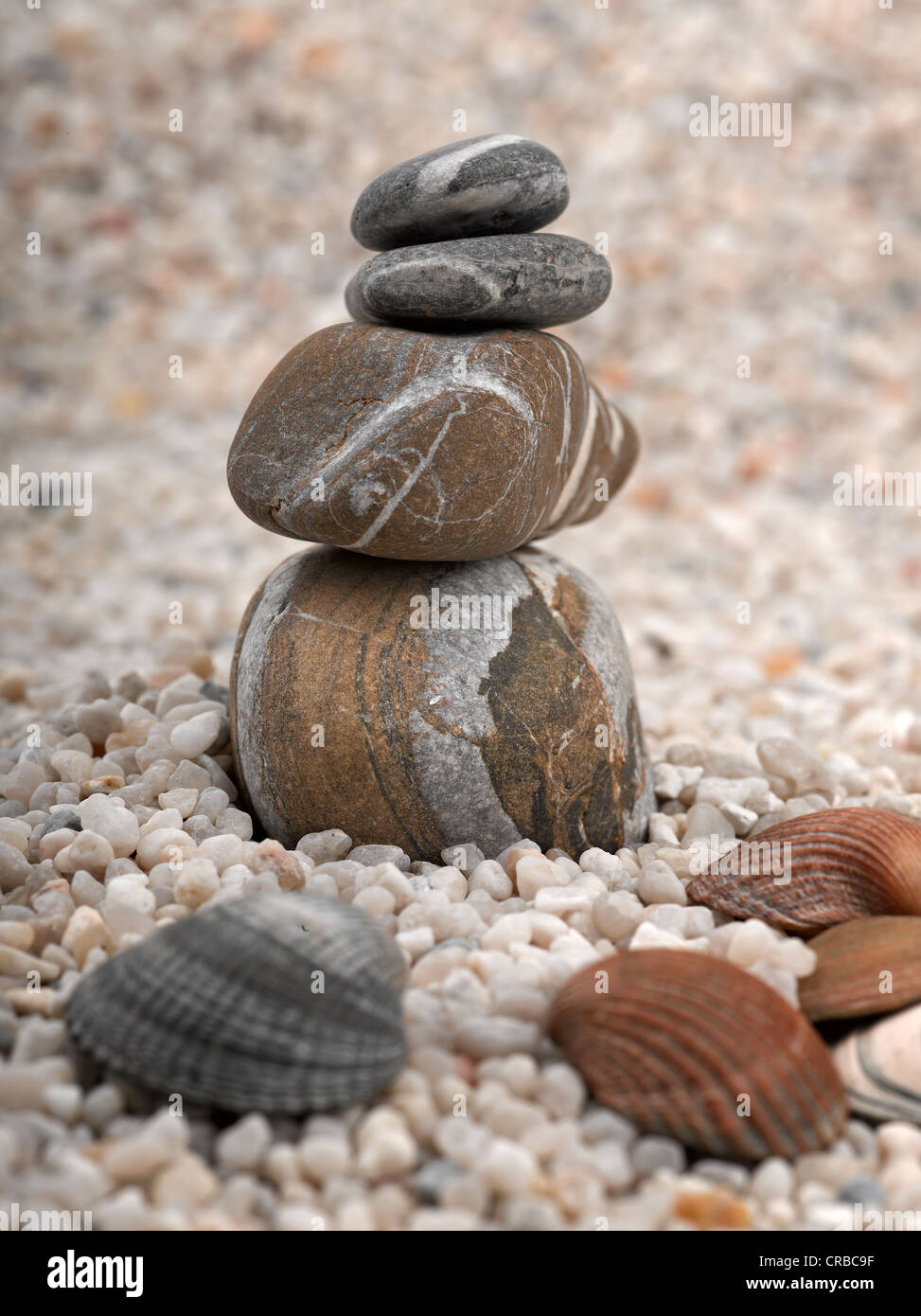 Stones on beach Stock Photo - Alamy