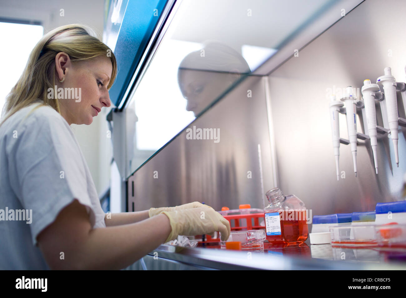portrait of a female researcher doing research in a lab (color toned ...