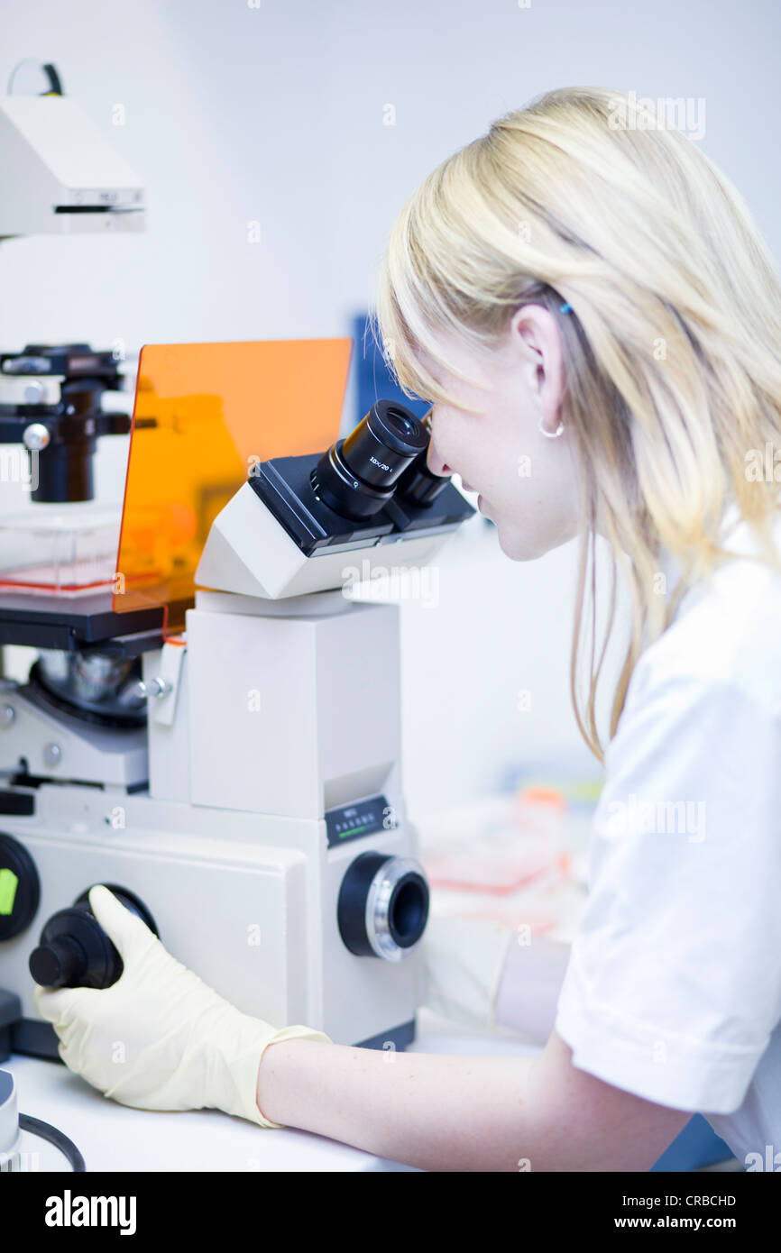 portrait of a female researcher doing research in a lab (color toned ...