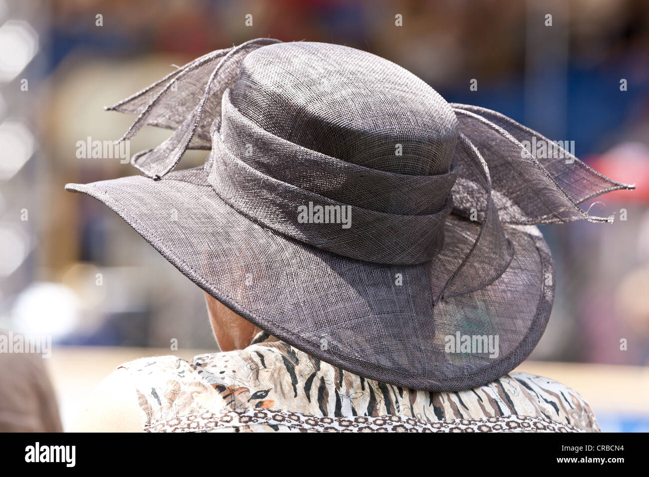 Spectator wearing a hi-res stock photography and images - Alamy