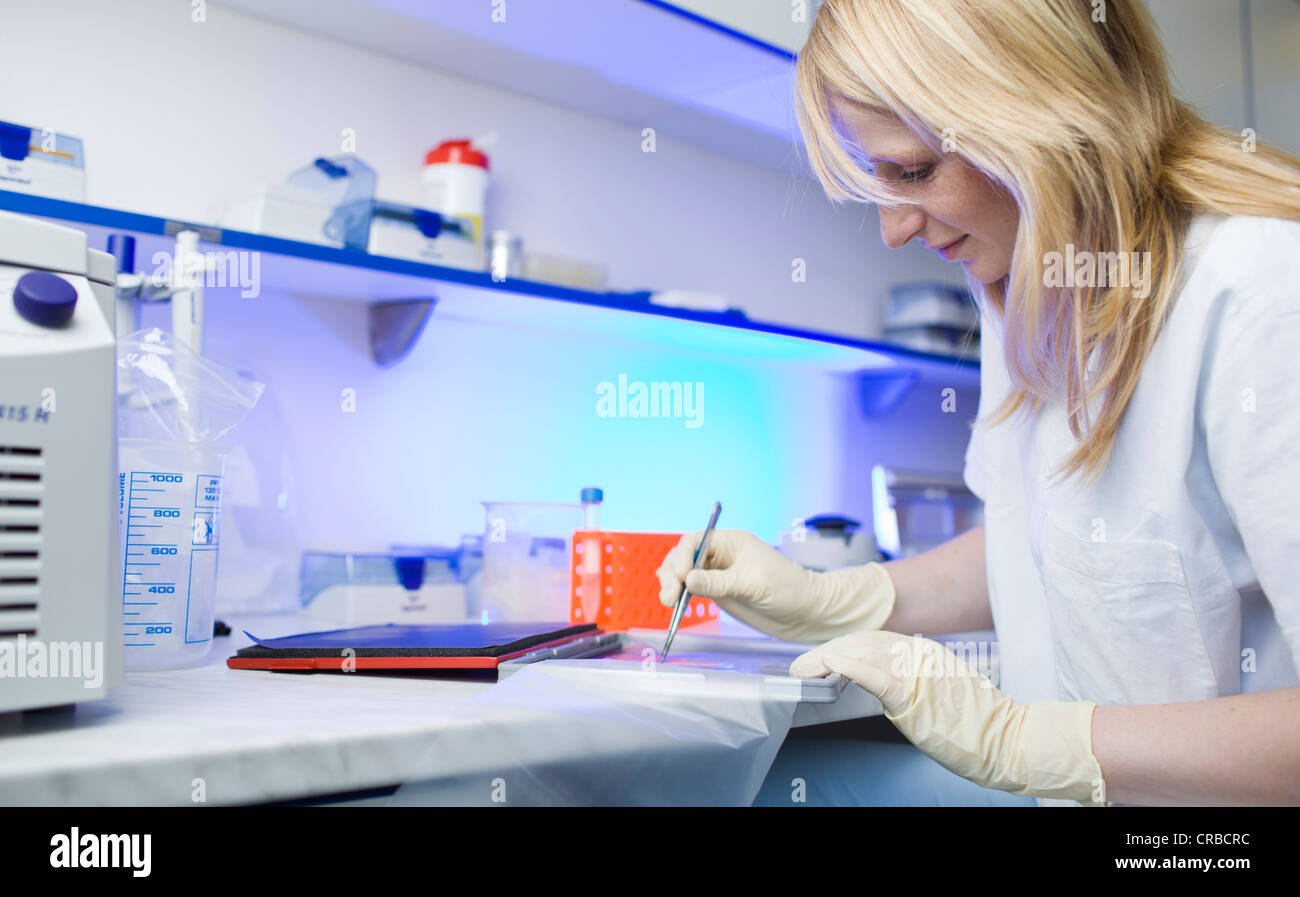 portrait of a female researcher doing research in a lab (color toned ...