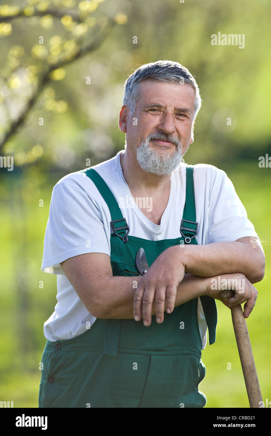 Portrait of a senior man gardening in his garden Stock Photo - Alamy
