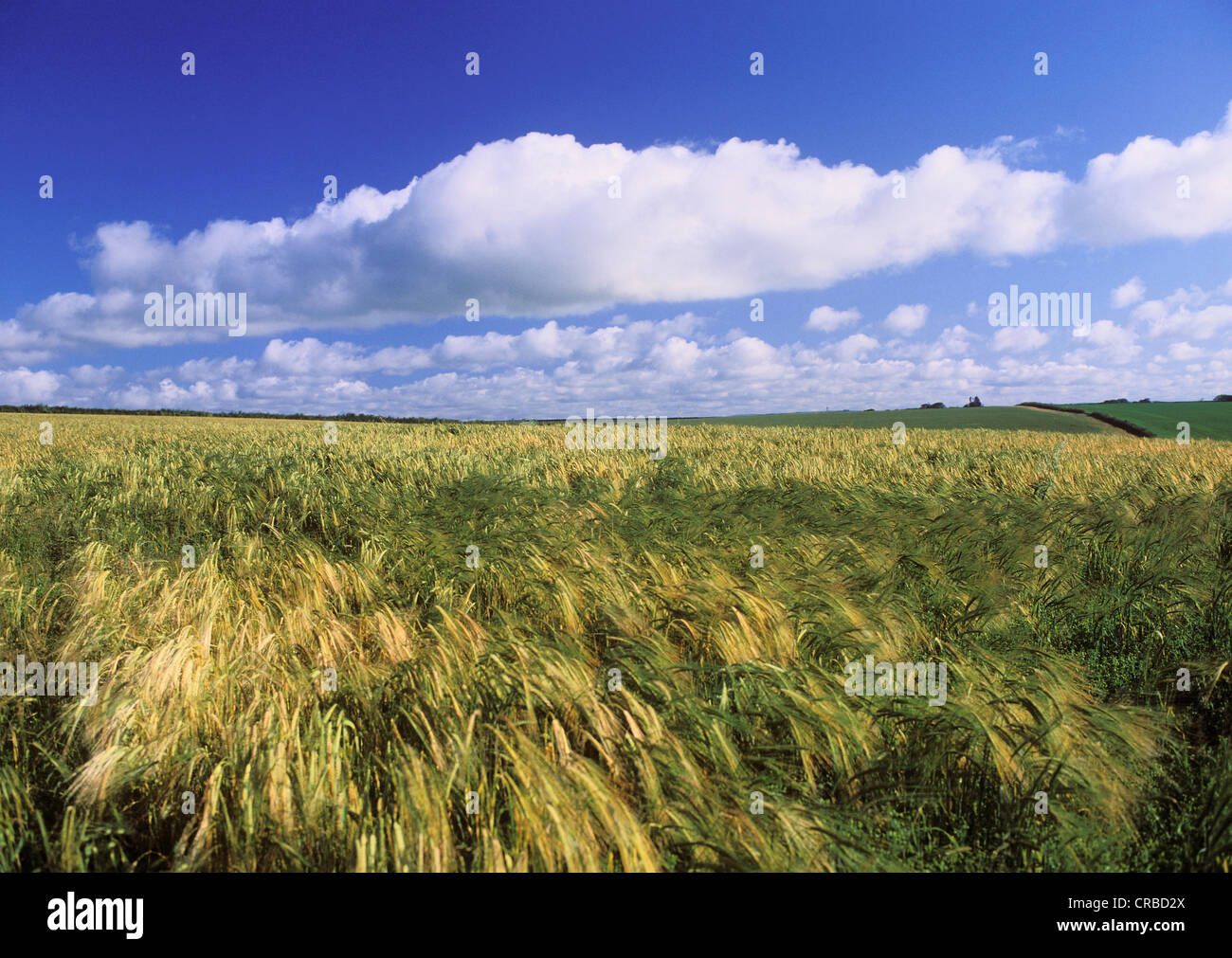 Sowing crops uk hi-res stock photography and images - Alamy
