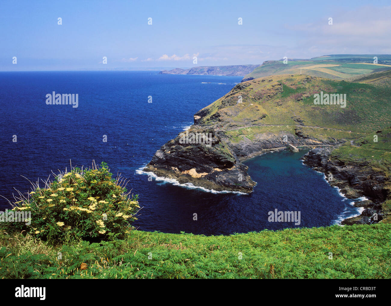 Cliffs, Boscastle, Cornwall, England, United Kingdom, Europe Stock ...