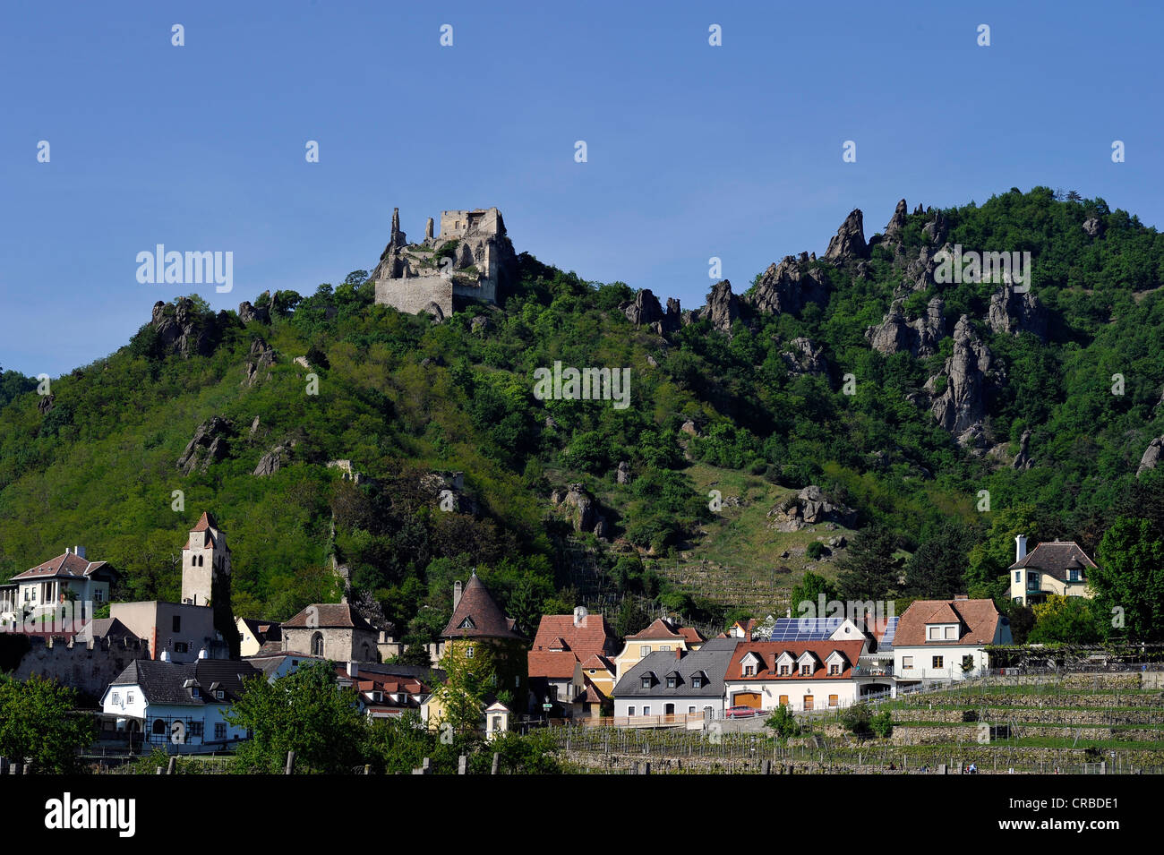 Burgruine Duernstein castle ruins, Duernstein, UNESCO World Heritage ...