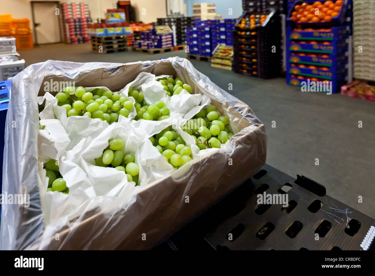 Fresh grapes in wooden crates in the wholesale for fresh produce, fruit ...