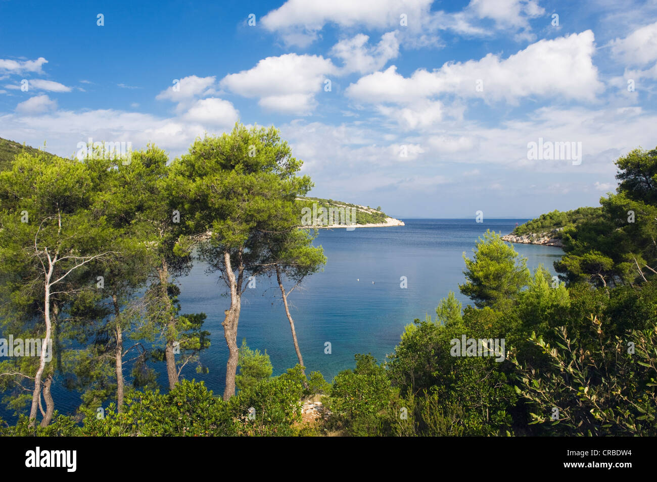 Vira hi-res stock photography and images - Alamy