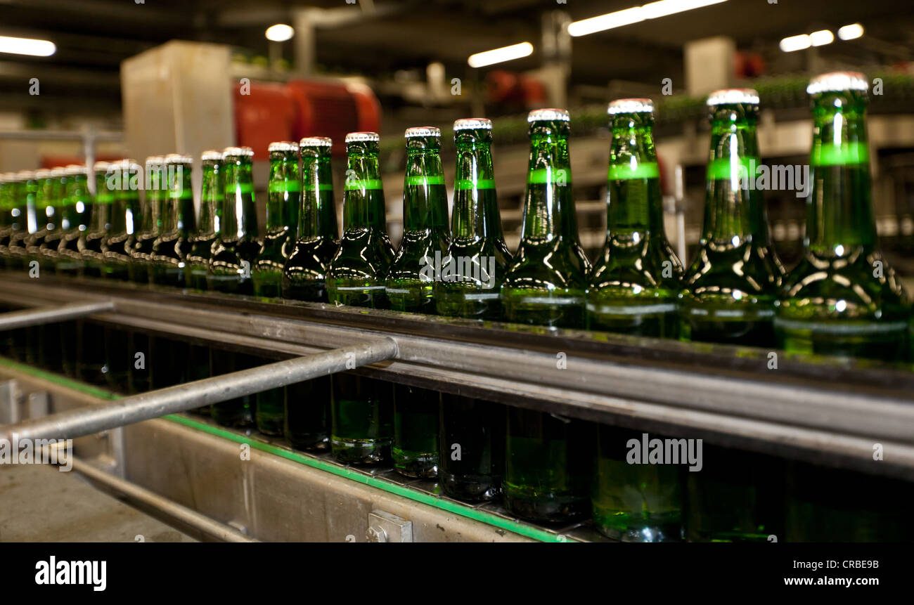 Beer bottles being filled on a conveyor belt, Binding brewery ...