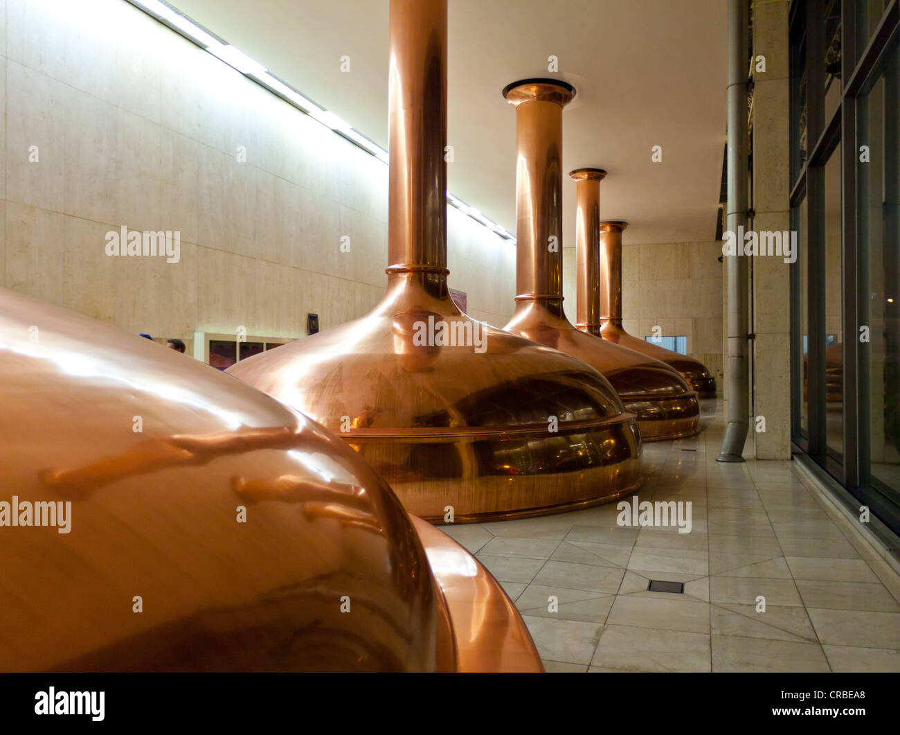 Copper vats, Binding brewery, Frankfurt, Hesse, Germany, Europe Stock ...