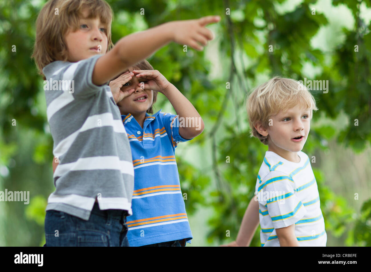 Boys playing together outdoors Stock Photo - Alamy