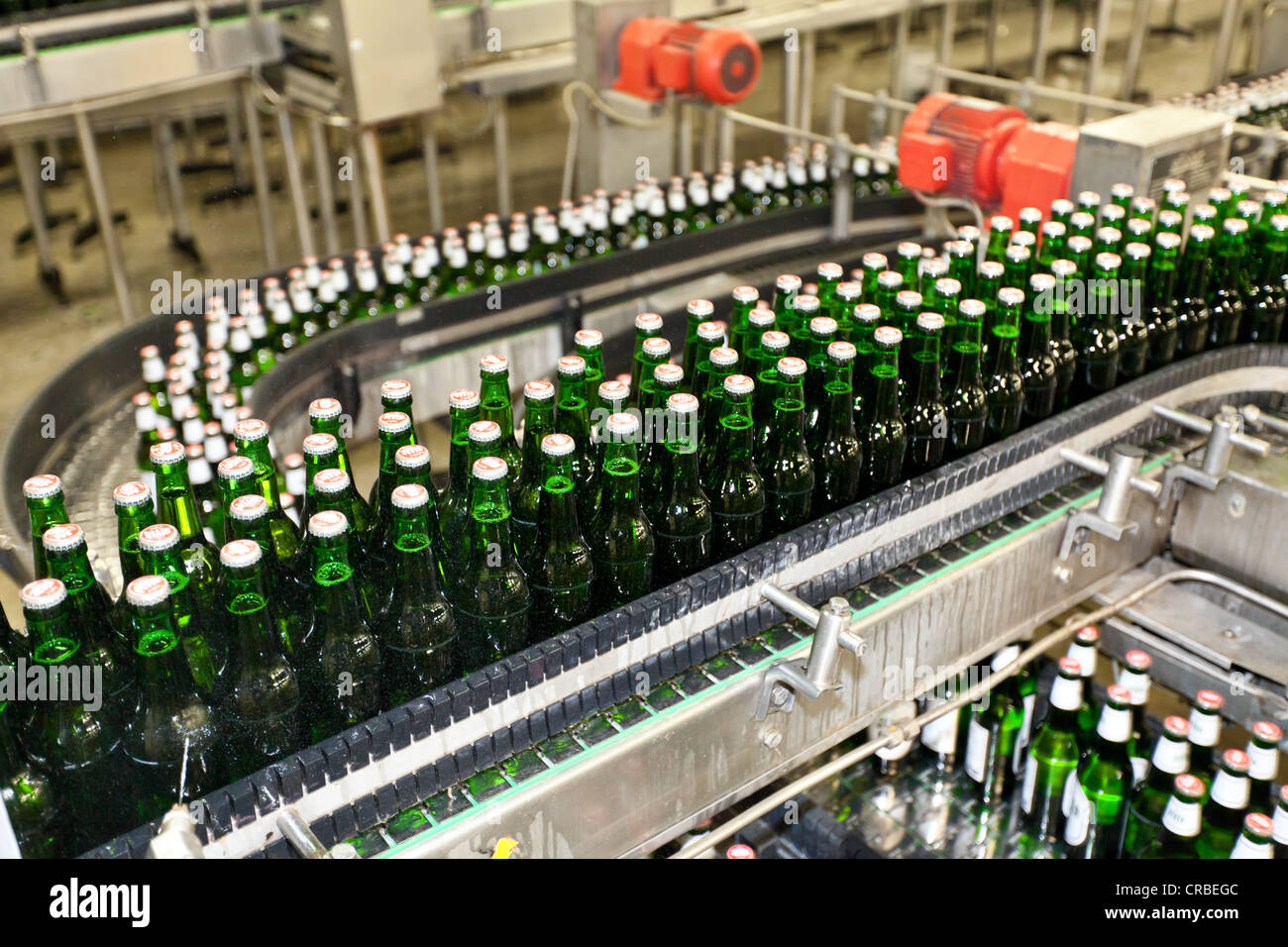 Beer bottles being filled on a conveyor belt, Binding brewery ...
